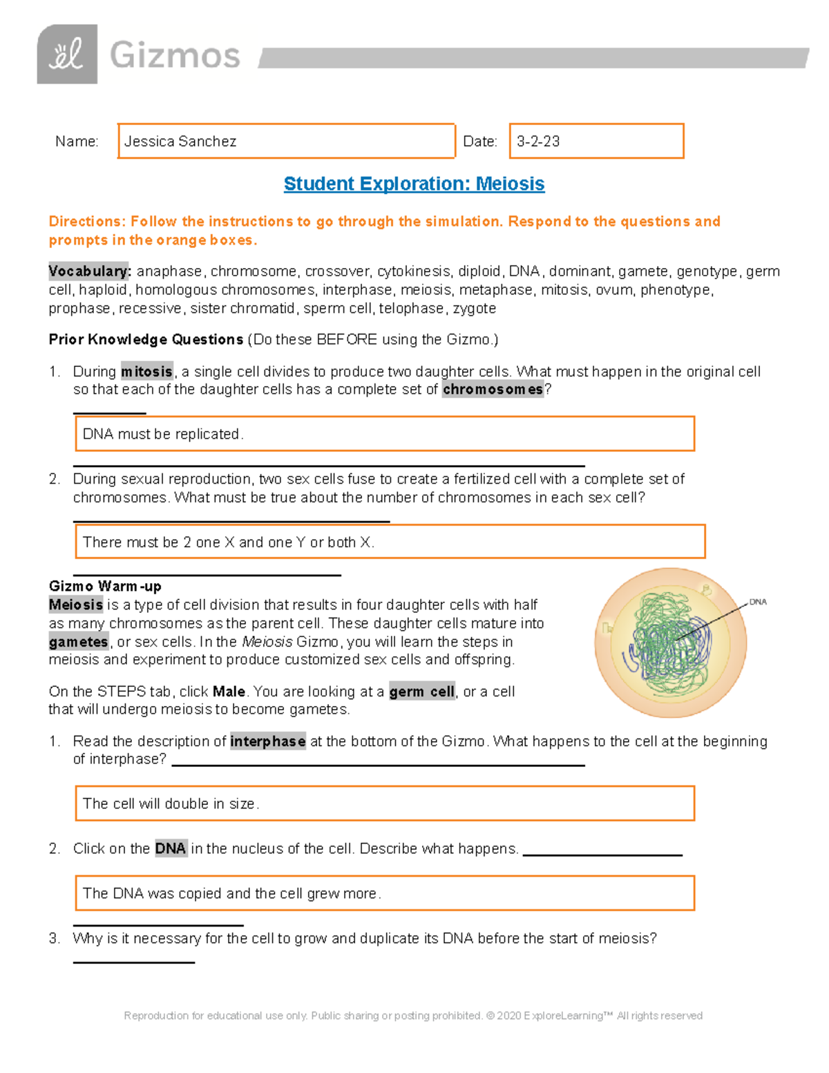 Copy of Meiosis SE - Biology Gizmoz - Name: Jessica Sanchez Date: 3-2 ...
