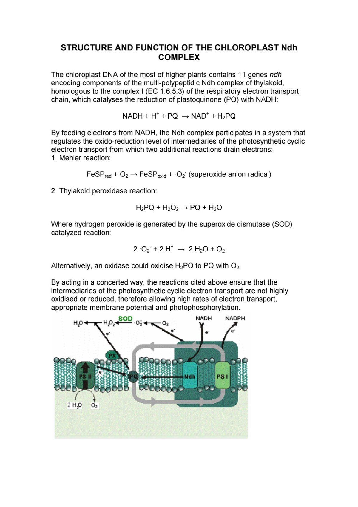 Structure and functions of chloroplast - Cell Biology - Studocu