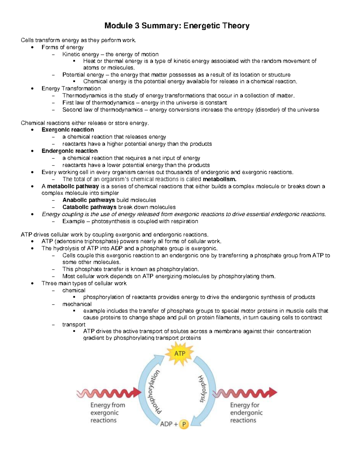 Module 3 putting it all together (Energetic Theory) - Module 3 Summary ...