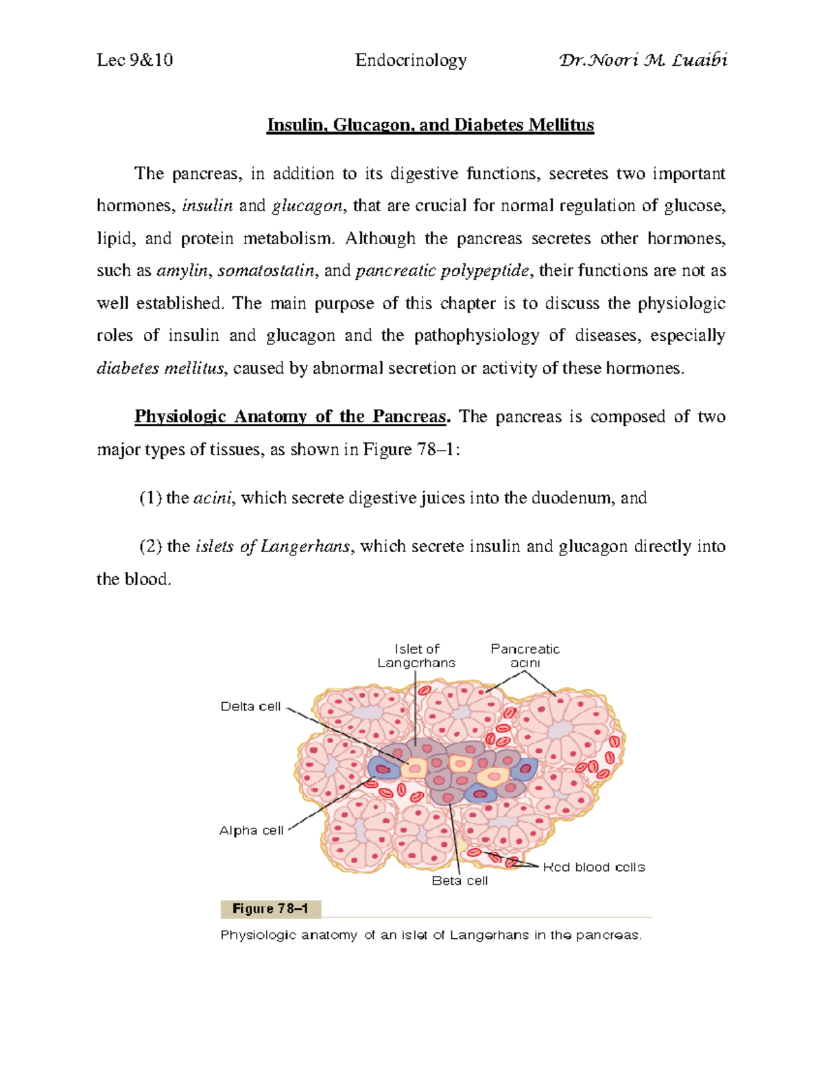 Doctoral Lecture 9 10 Insulin Glucagon And Diabetes Mellitus Insulin Glucagon And Diabetes