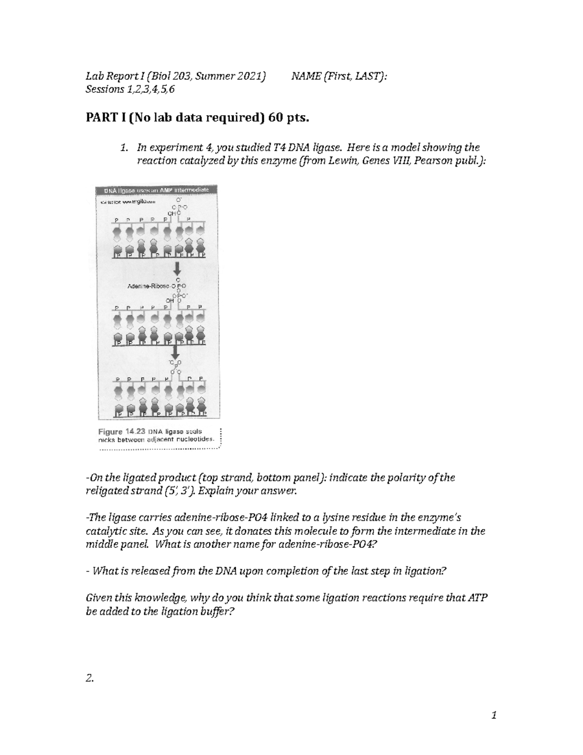 Report I-template-summer 2021 v - Lab Report I (Biol 203, Summer 2021 ...