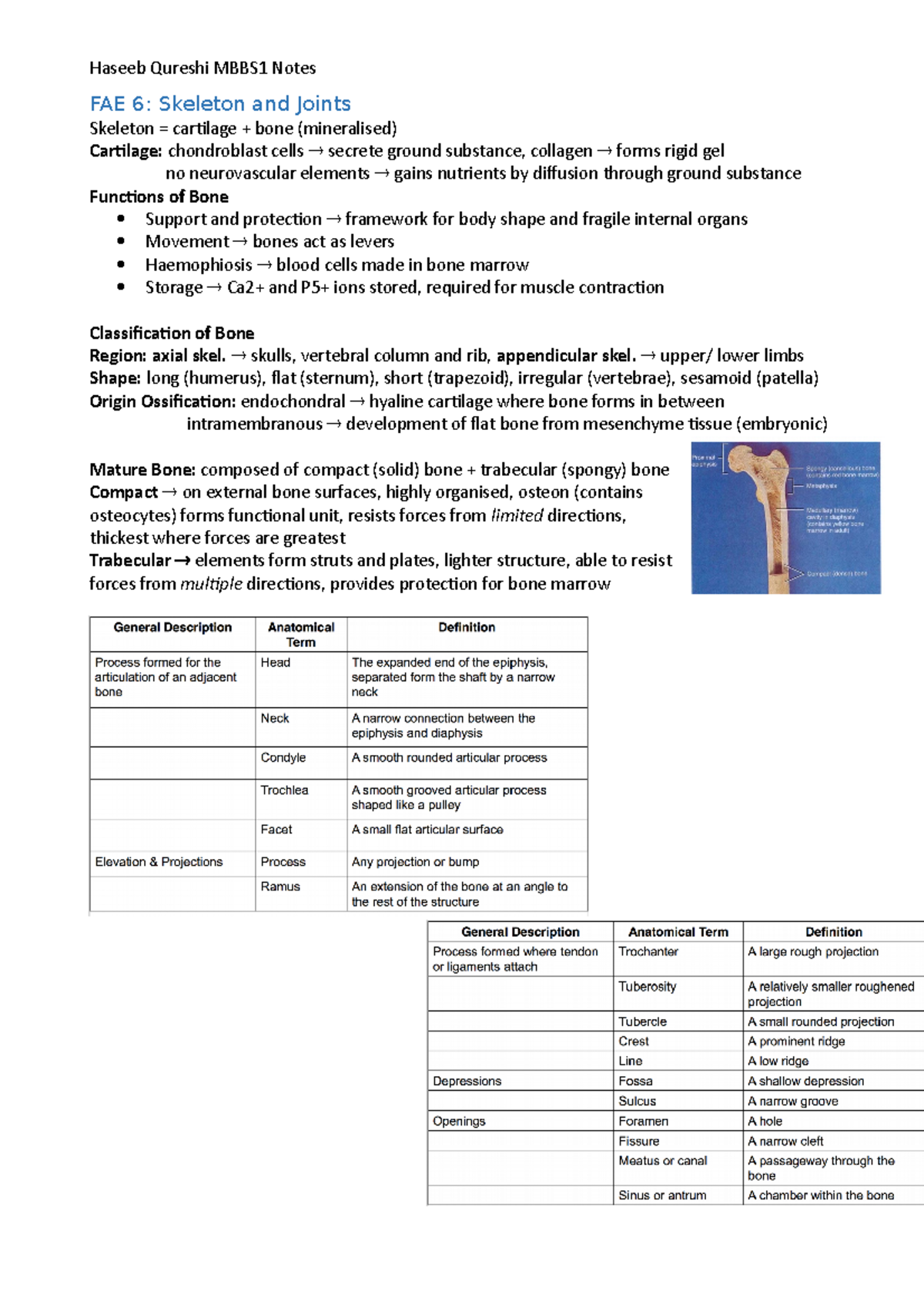 FAE 6 Skeleton Joints - Haseeb Qureshi MBBS1 Notes FAE 6: Skeleton and ...