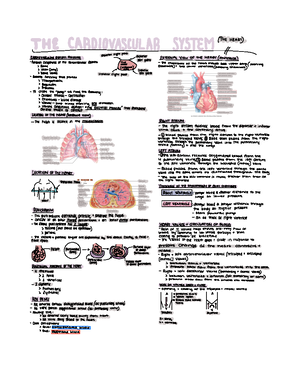 Chapter 05 The Cardiovascular System - : s: e: Chapter 05: The ...