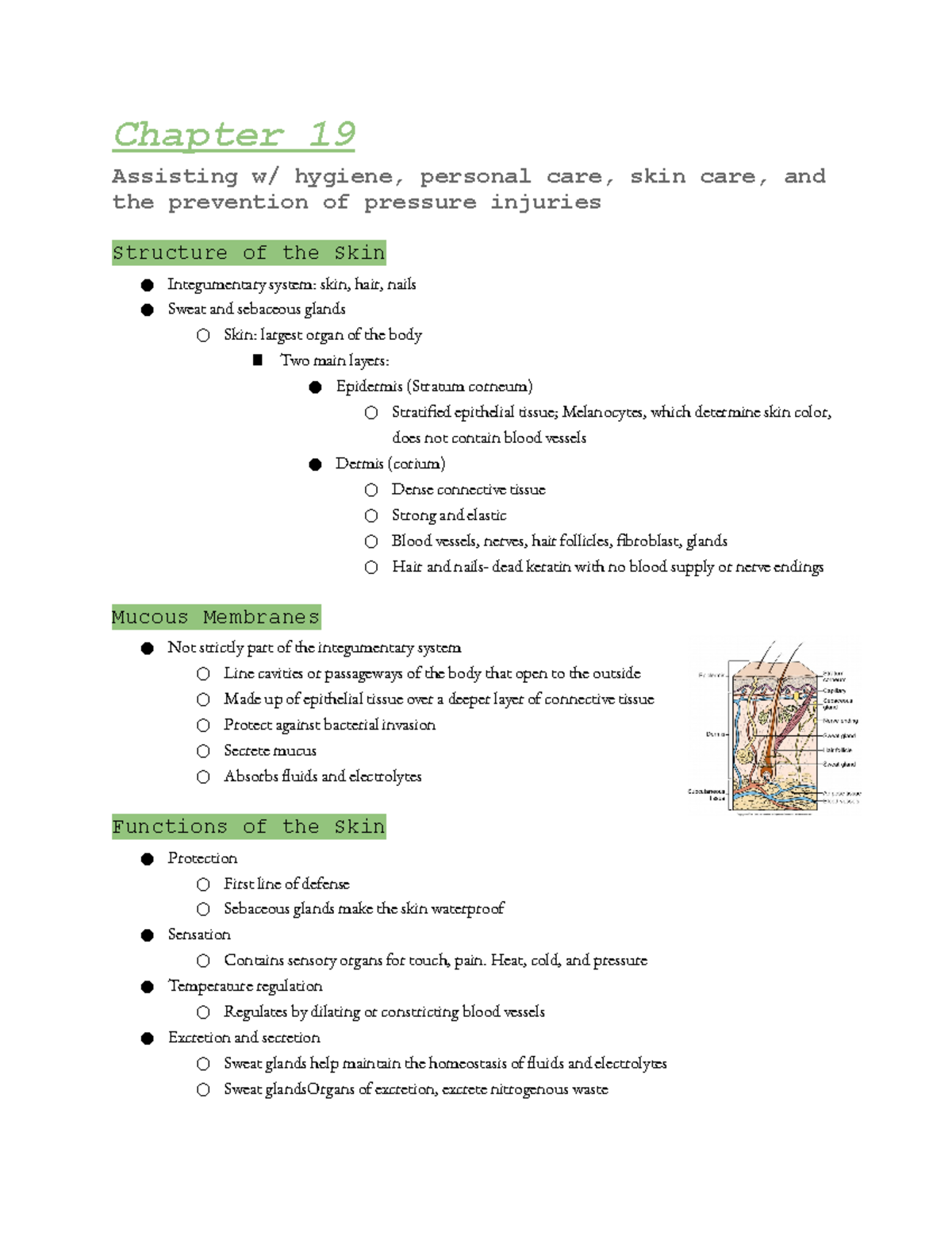 Fundamentals Chapter 19 - Chapter 19 Assisting w/ hygiene, personal ...