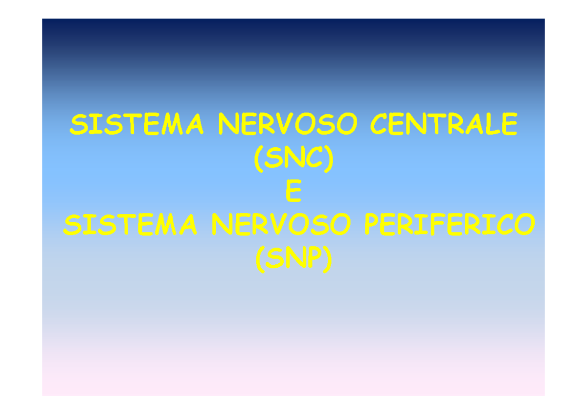 Cenni Sistema Nervoso - Riassunto - SISTEMA NERVOSO CENTRALE (SNC) E ...