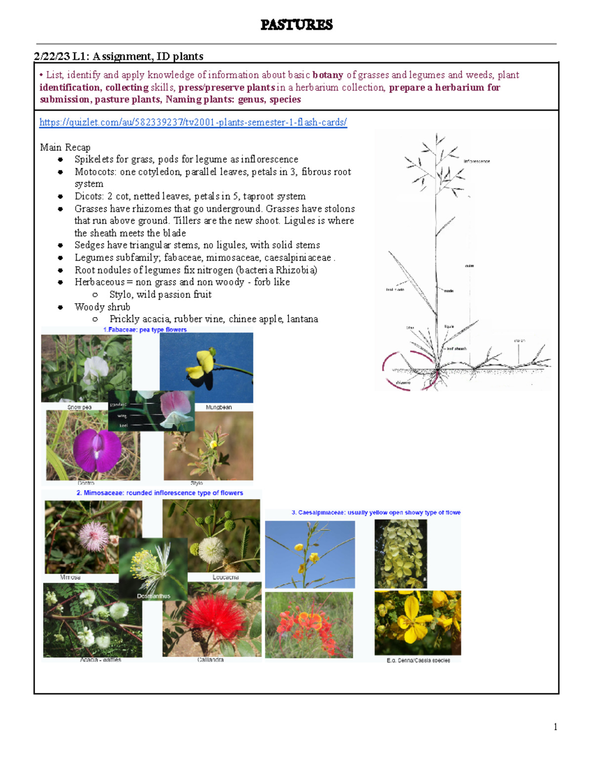 2023 Pastures TV2001 - By I.C and Z.I - PASTURES 2/22/23 L1: Assignment ...