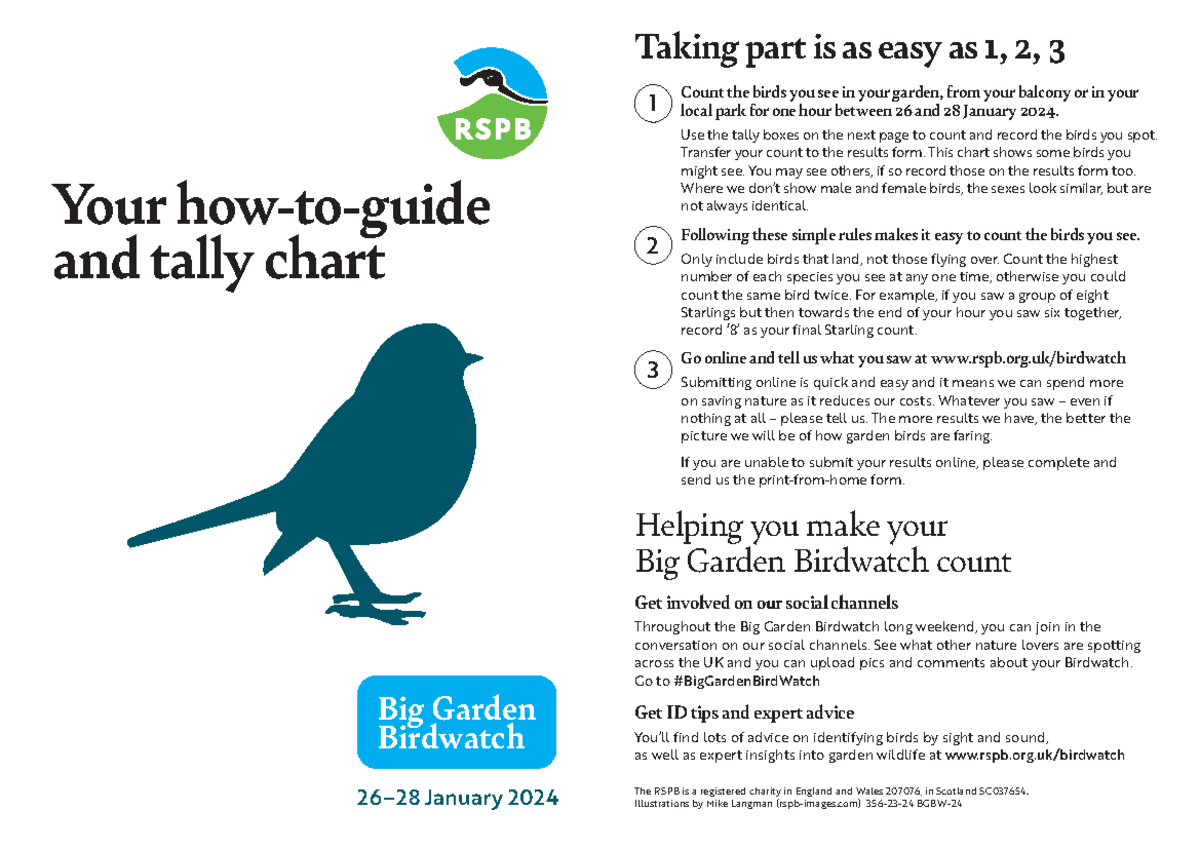 Big Garden Birdwatch - How To - English - Your how-to-guide and tally ...