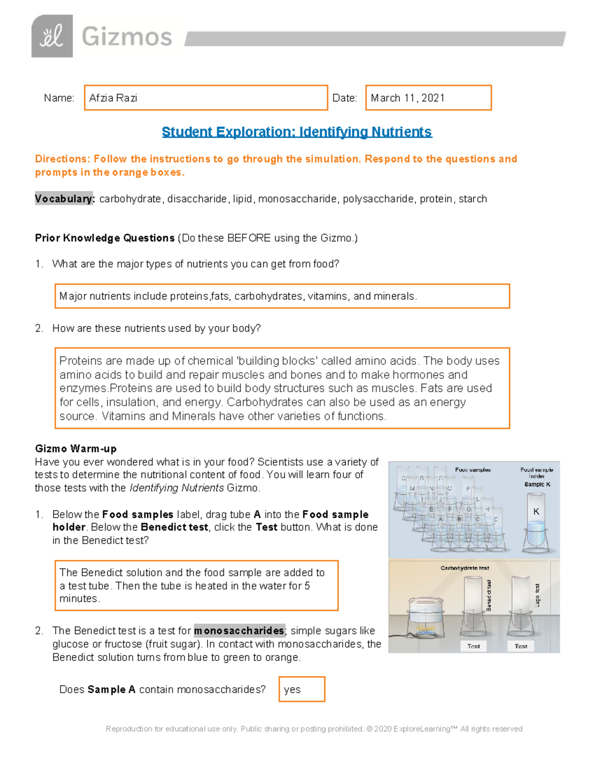 Identifying Nutrients SE - Student Exploration: Identifying Nutrients ...