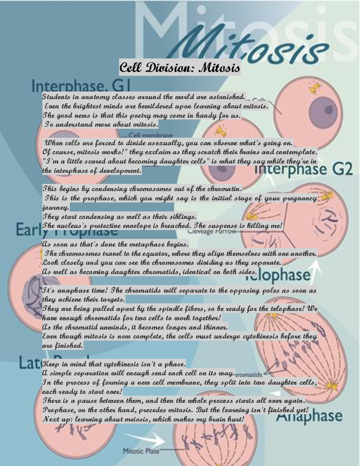 Mitosis Poem - Lecture notes 1 - BS Psychology - PUP - Studocu