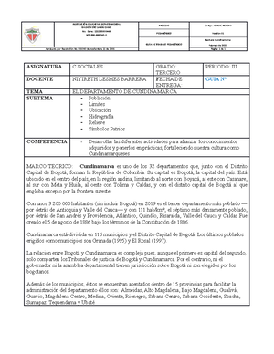 Anexo Formato RIPS - actividad desarrollada - PROCESO DIRECCIÓN DE ...