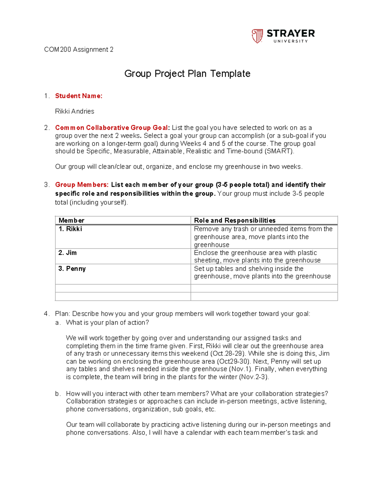 COM200 WK 4 ASSN - Reaching a Common Goal Through Collaboration ...