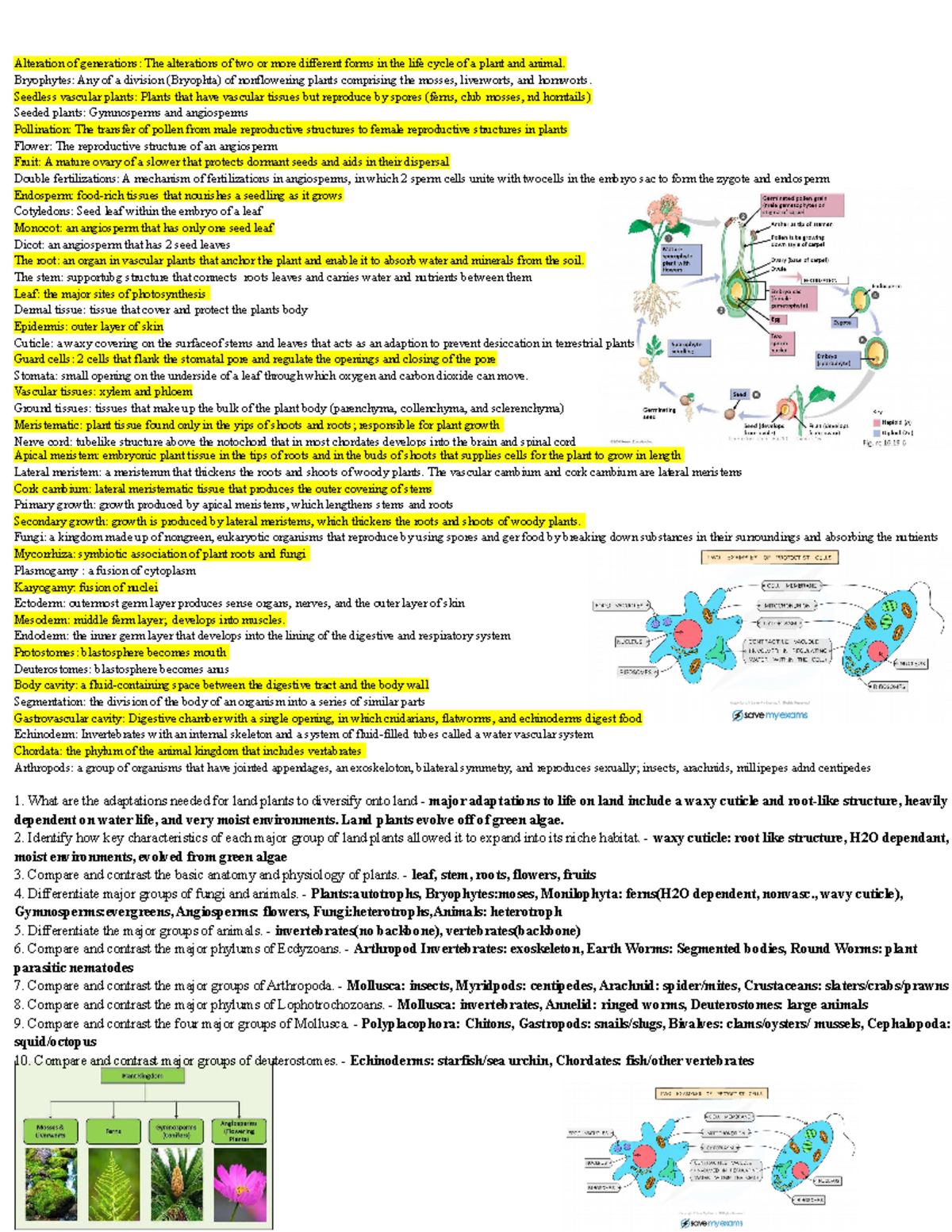 Exam 2 Study Guide - cheat sheet - Alteration of generations: The ...