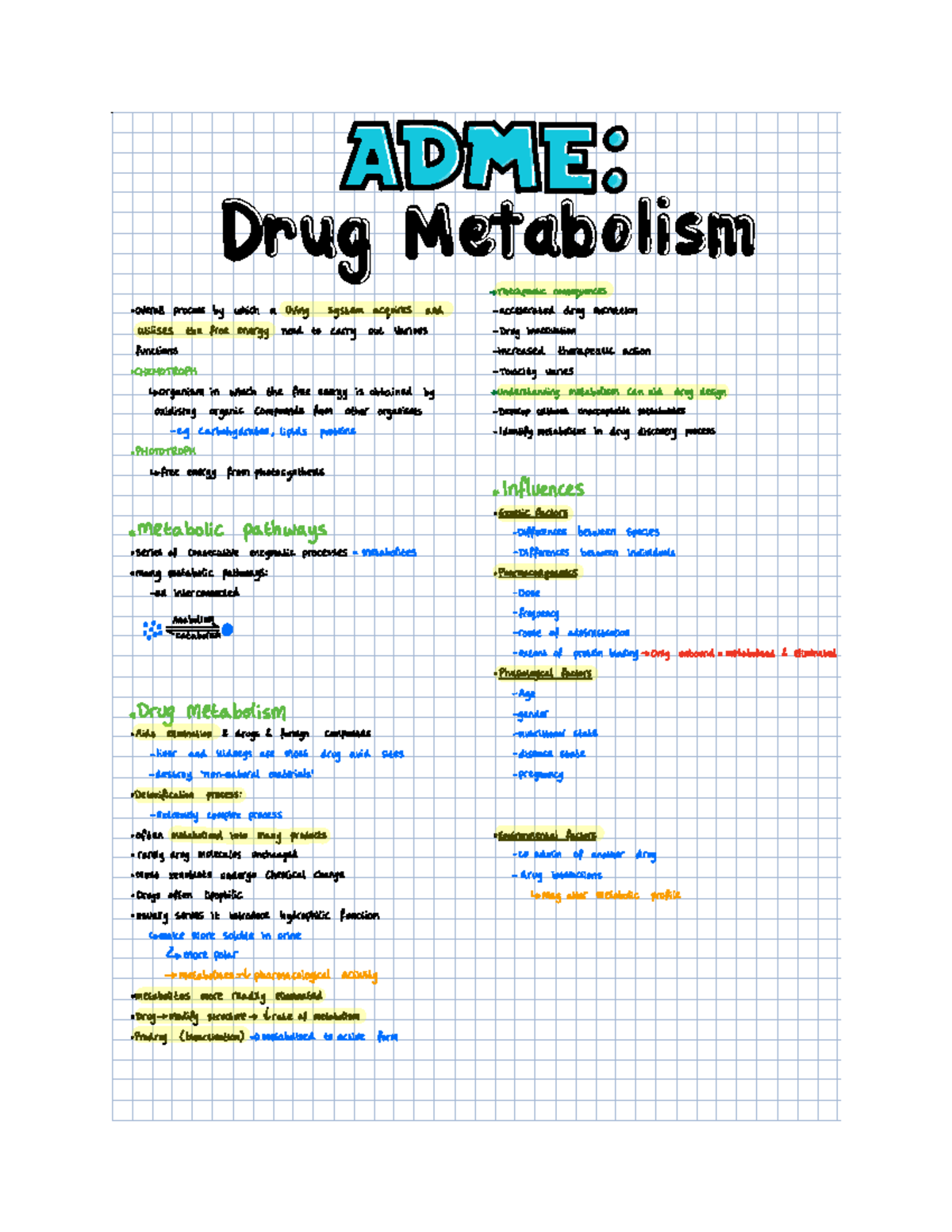 ADME Drug Metabolism - lecture notes - 7T t IIIDDDDIEEiEftI'IEEEIFI l I ...
