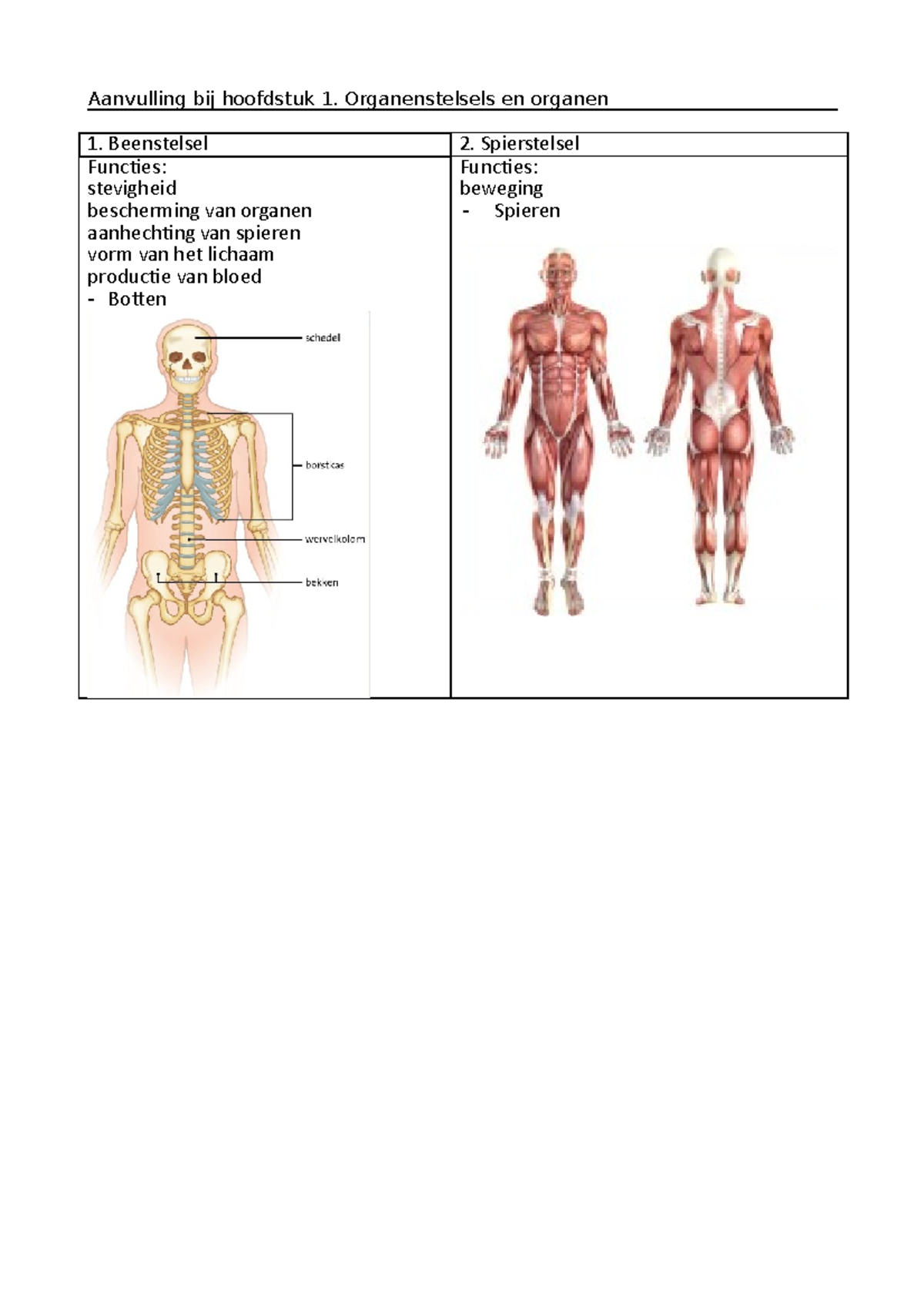 Stencils organenstelsels lj1 - Beenstelsel 2. Spierstelsel Functies ...