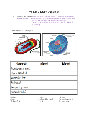 Module 8 study guide - Module 8 Study Questions What is the function of ...
