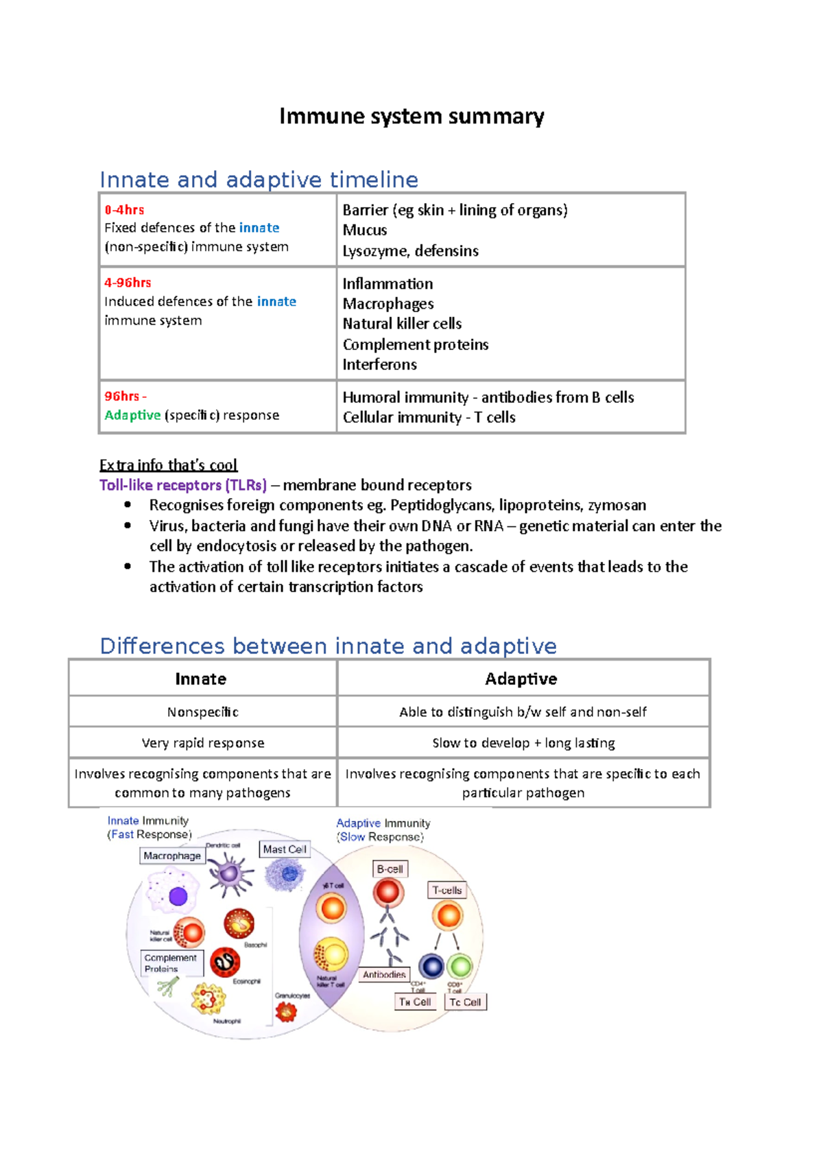 Immune system summary - Immune system summary Innate and adaptive ...