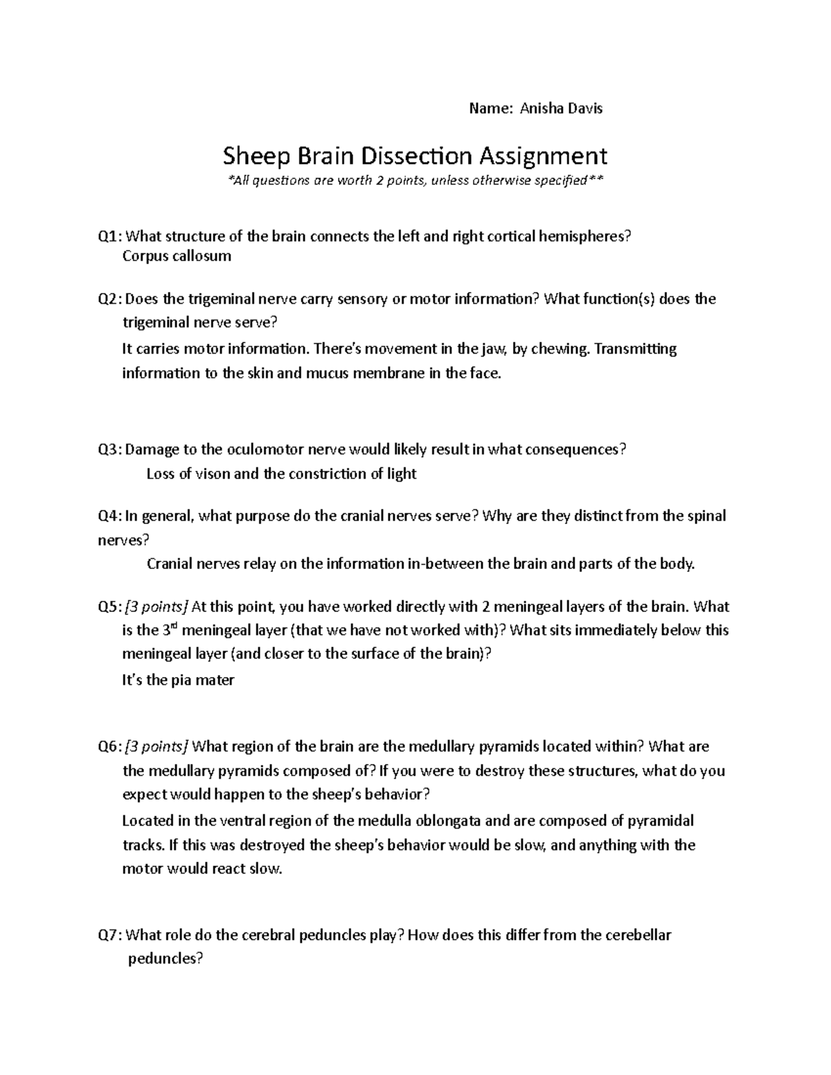 Sheep Brain Dissection Assignment - Name: Anisha Davis Sheep Brain ...