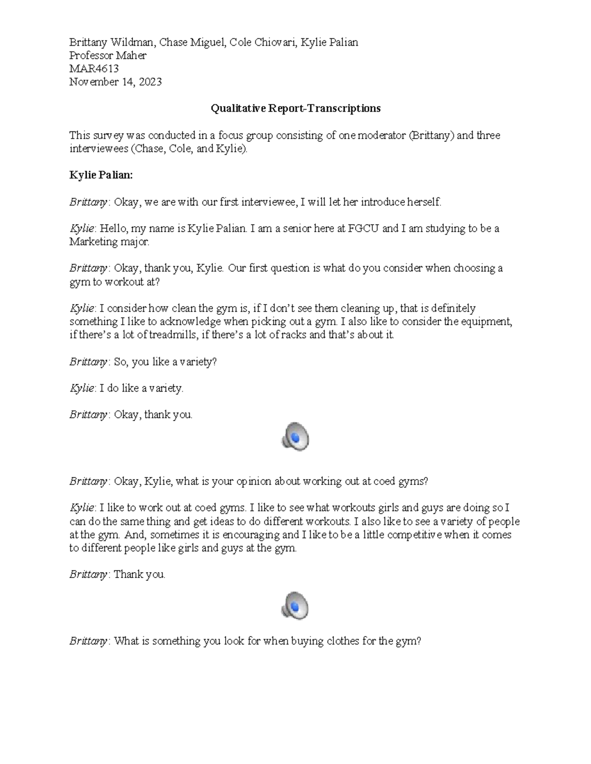 Qualitative Report-Transcriptions - Professor Maher MAR November 14 ...