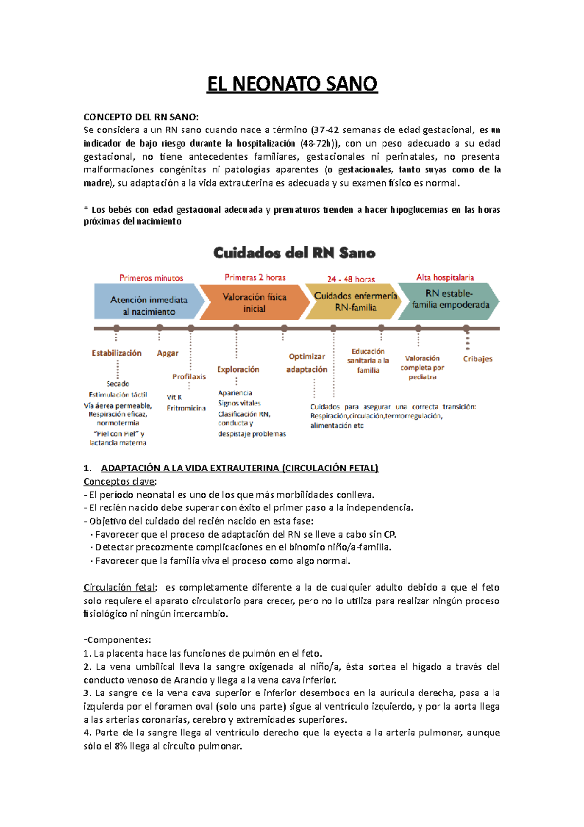 Apuntes neonato sano parte 1 - EL NEONATO SANO CONCEPTO DEL RN SANO: Se ...