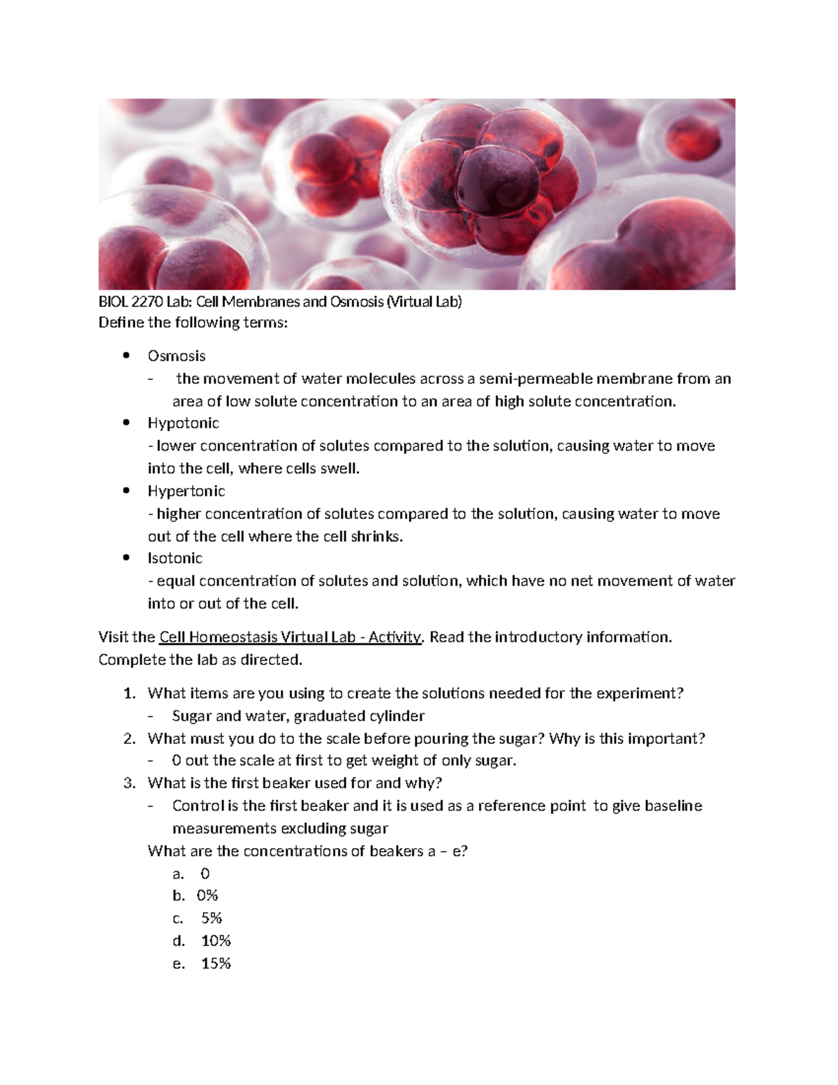 Osmosis and cell lab - Lab - BIOL 2270 Lab: Cell Membranes and Osmosis ...