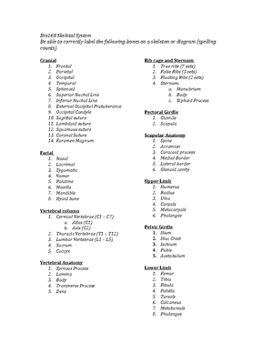 Integumentary+System+Study+Guide+Spring+2022 - Bio 168 Anatomy ...