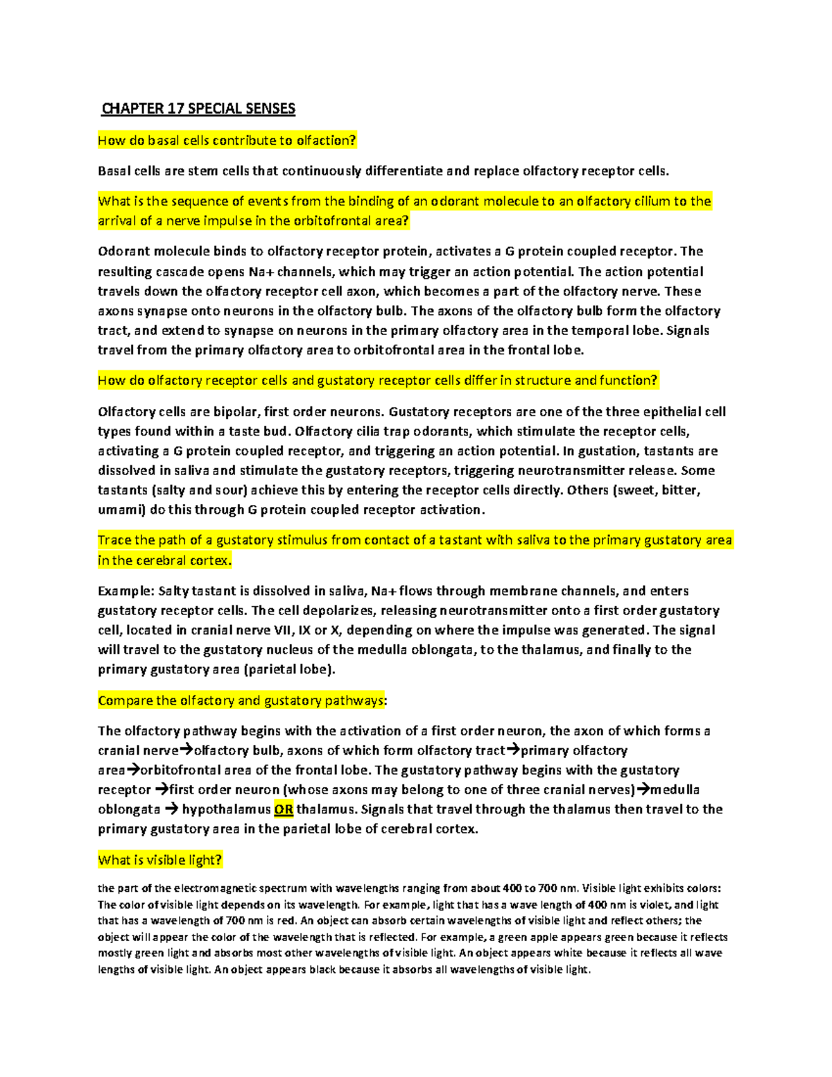 Chapter 17 special senses review Anatomy and Physiology 1 - CHAPTER 17 ...