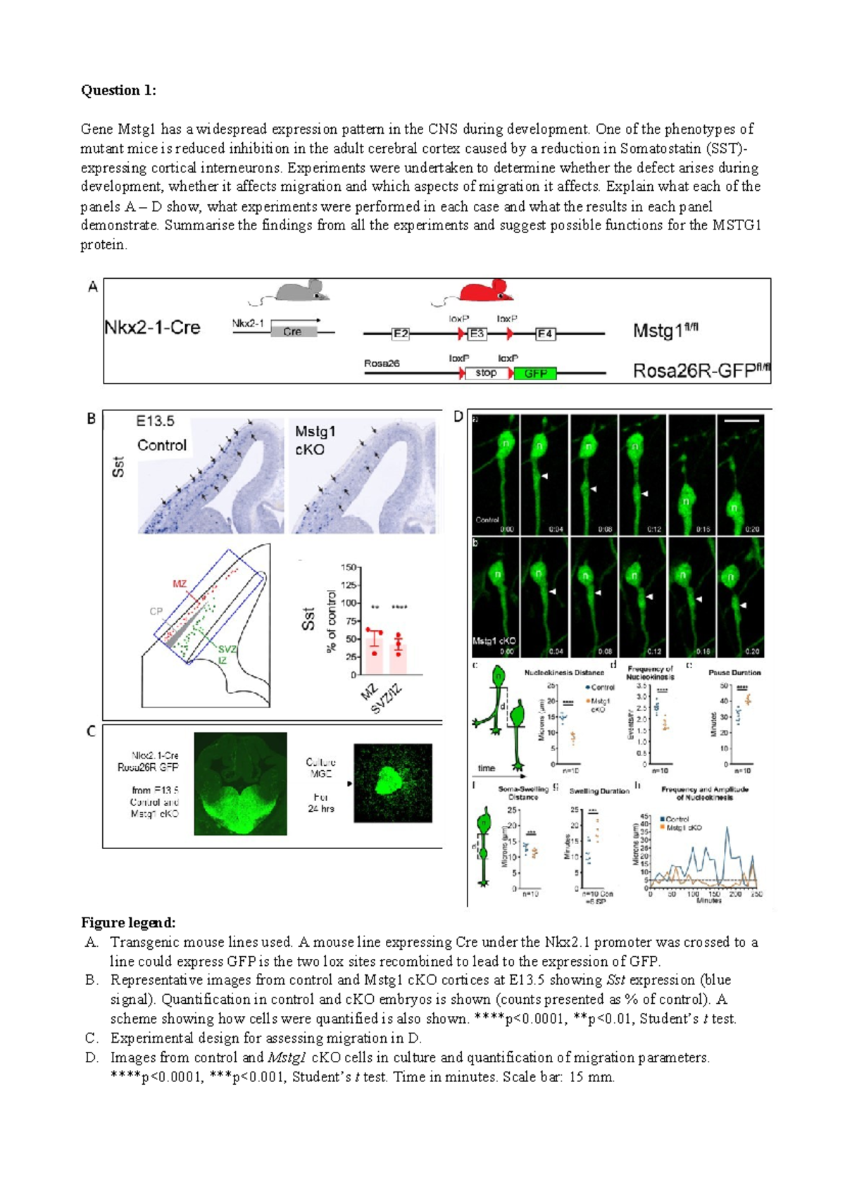 Data Interpretation Tut with ANS - Question 1: Gene Mstg1 has a ...