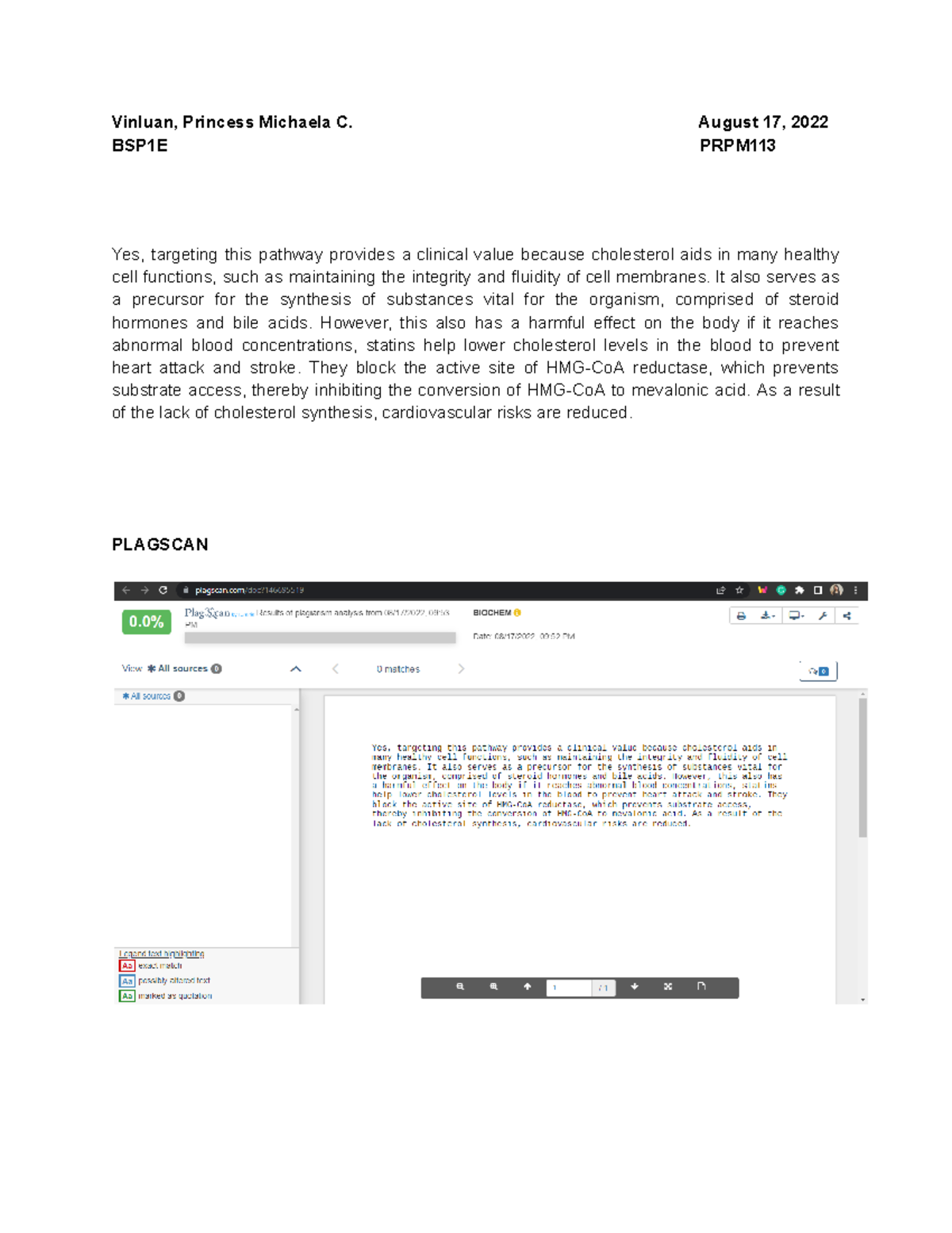 Vinluan M1 Lesson 1 - biochem canvas activity - Vinluan, Princess ...