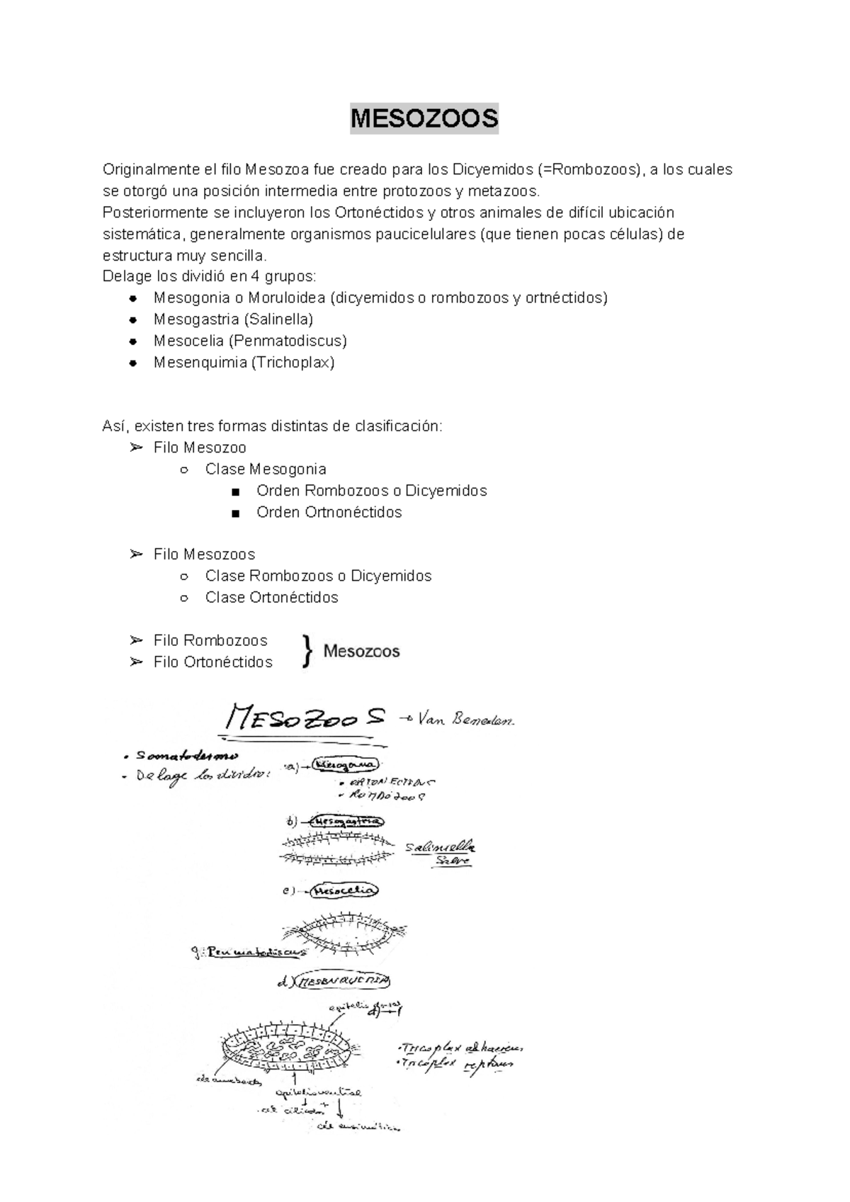 Tema 21 Mesozoos (diciemidos y ortonéctidos) - MESOZOOS Originalmente ...