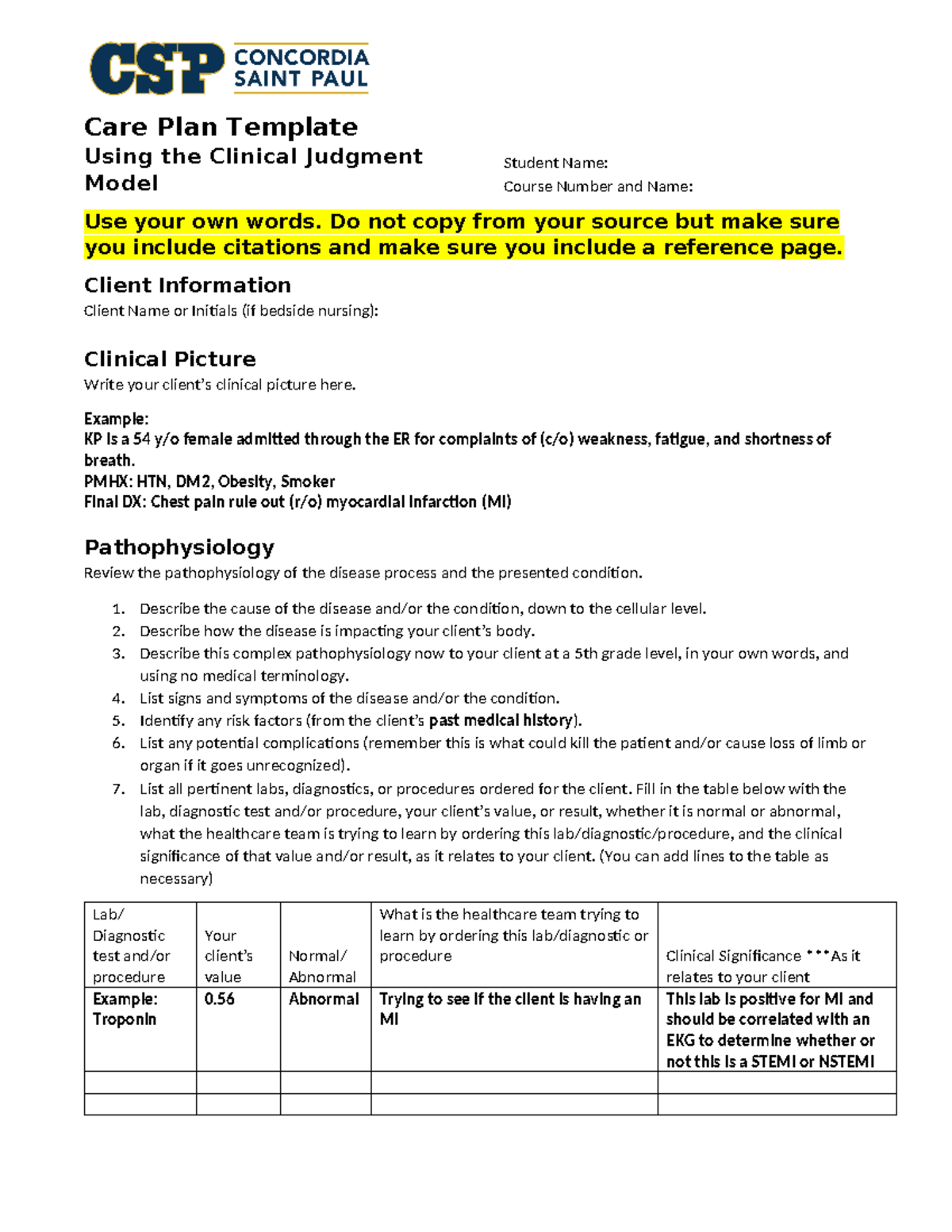 Clinial Care Plan Template - Care Plan Template Using the Clinical ...