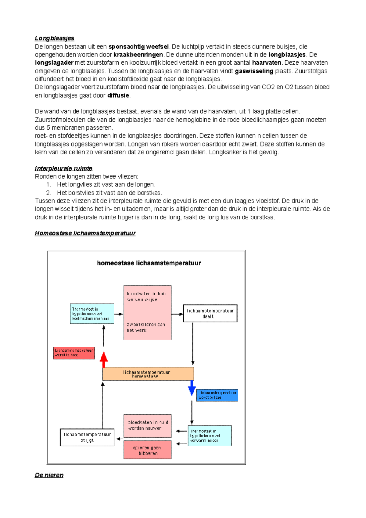 Hoofdstuk 13 - Gaswisseling - Longblaasjes De longen bestaan uit een ...