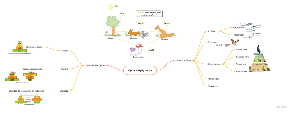 20421 - Mapa conceptual - prepa en linea sep - Studocu