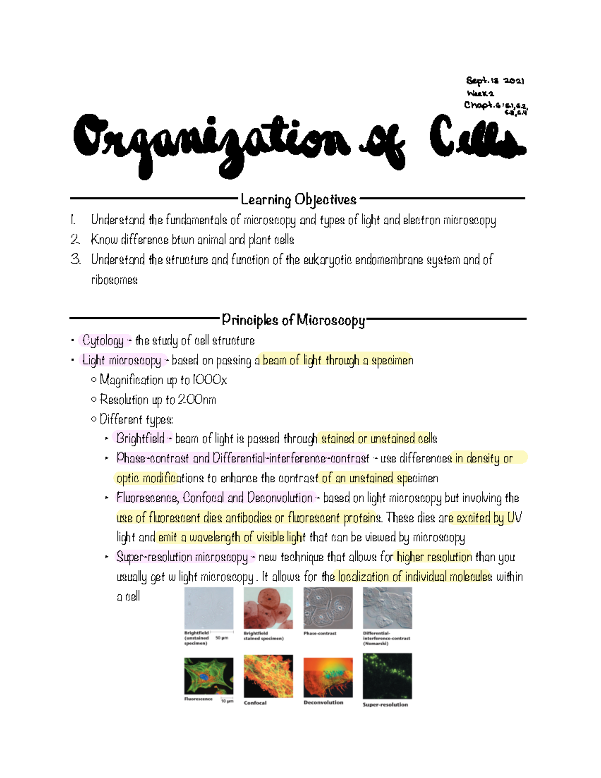 Week 2 - BIOL 102 Organization of Cells - Learning Objectives ...