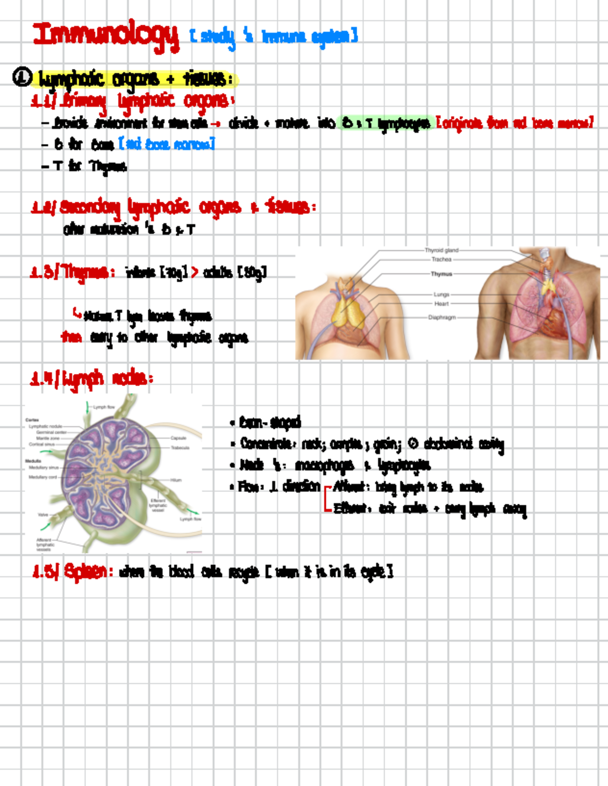Module 7 part 2 - Immunology
