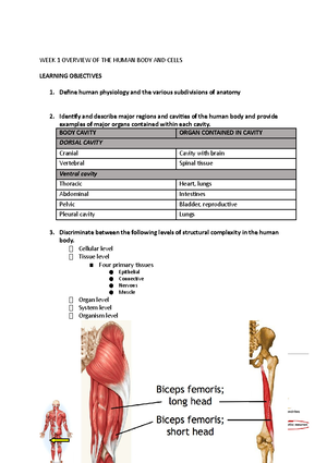Fun revision mnemonic examples bones - Some fun mnemonics examples: You ...