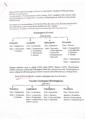Document - Classification of Animals: Phylum porifera, Phylum Cnidaria ...