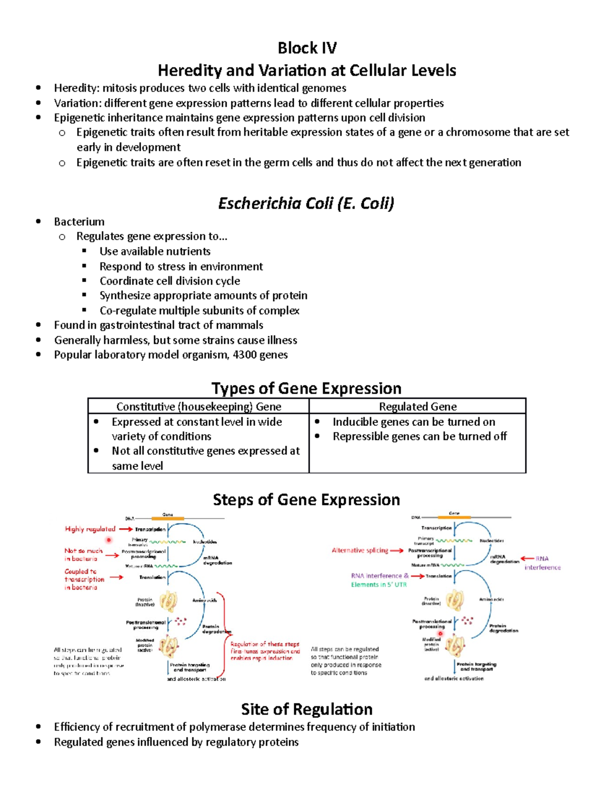 BIO319 - EXAM 4 STUDY GUIDE - Block IV Heredity and Variation at ...