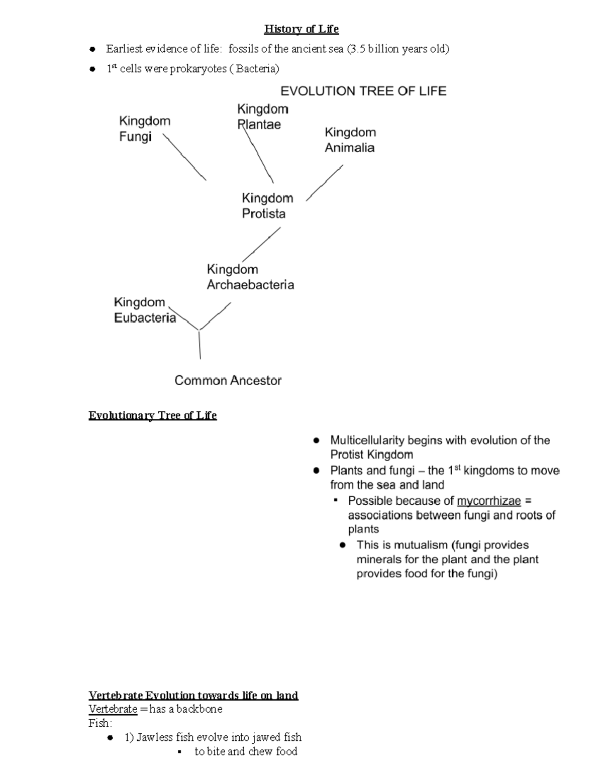 History of Life Notes - History of Life Earliest evidence of life ...