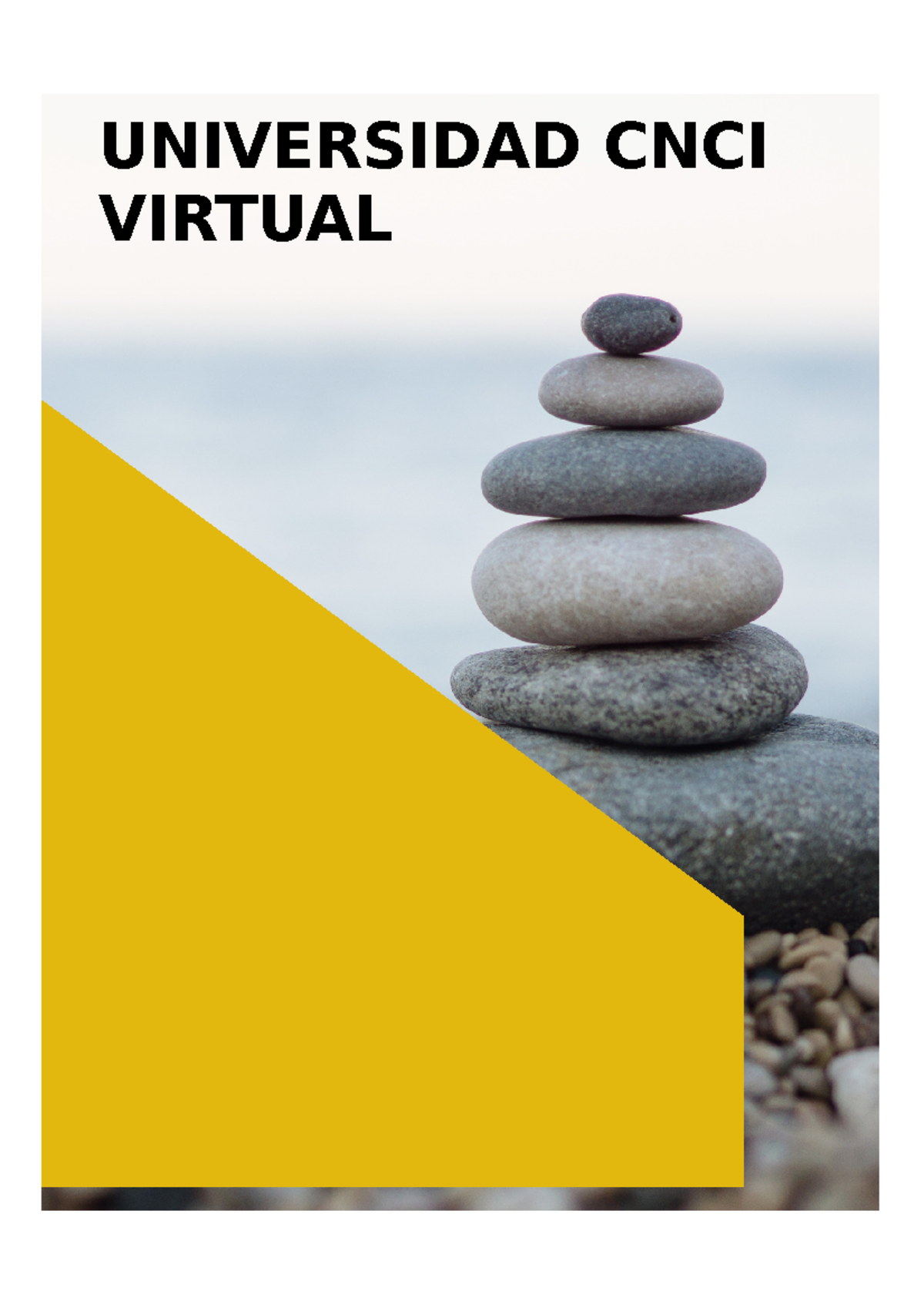 Universidad CNCI Virtual - UNIVERSIDAD CNCI VIRTUAL INFORME INTRODUCCION En este proyecto ...