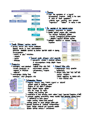 Chapter 23 the digestive system - Bio 216 - Studocu