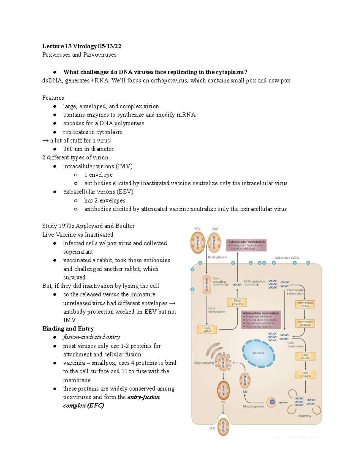 05-13 -22 Virology Lecture 13 - Lecture 13 Virology 05/13/ Poxviruses ...