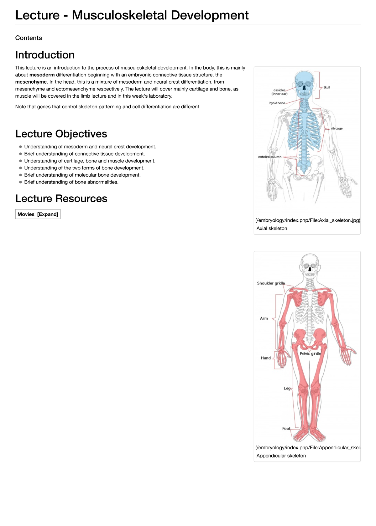 Lecture 2016 - Musculoskeletal Development - [Expand] (/embryology ...