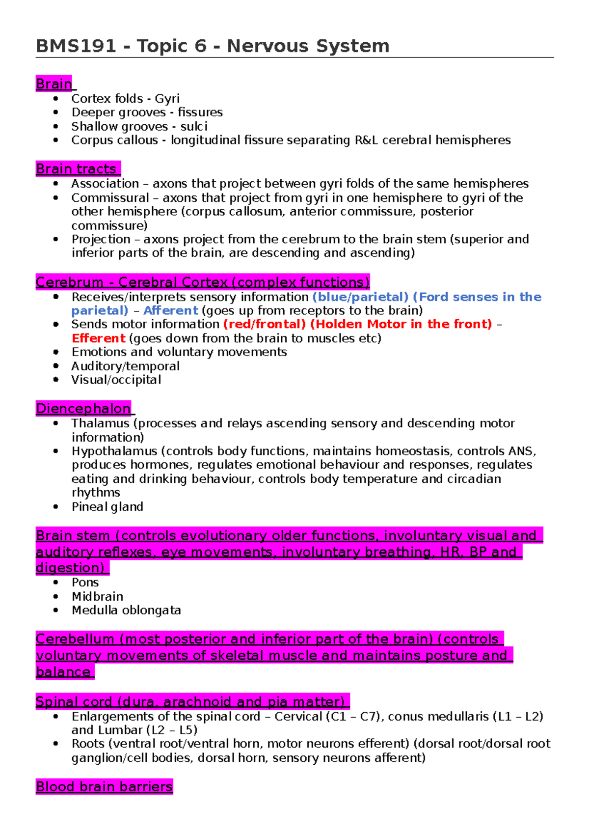 Topic 6 notes - BMS191 - Topic 6 - Nervous System Brain Cortex folds ...