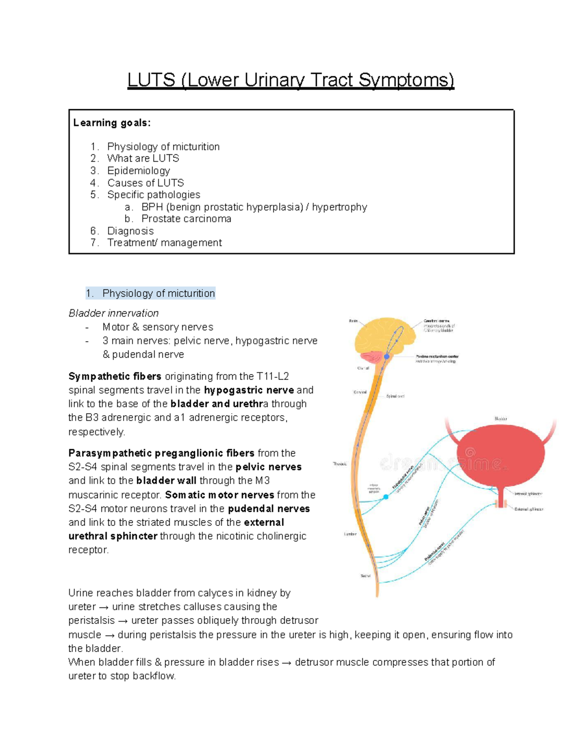 2. LUTS text - lower urinary tract symptoms - its - LUTS (Lower Urinary ...