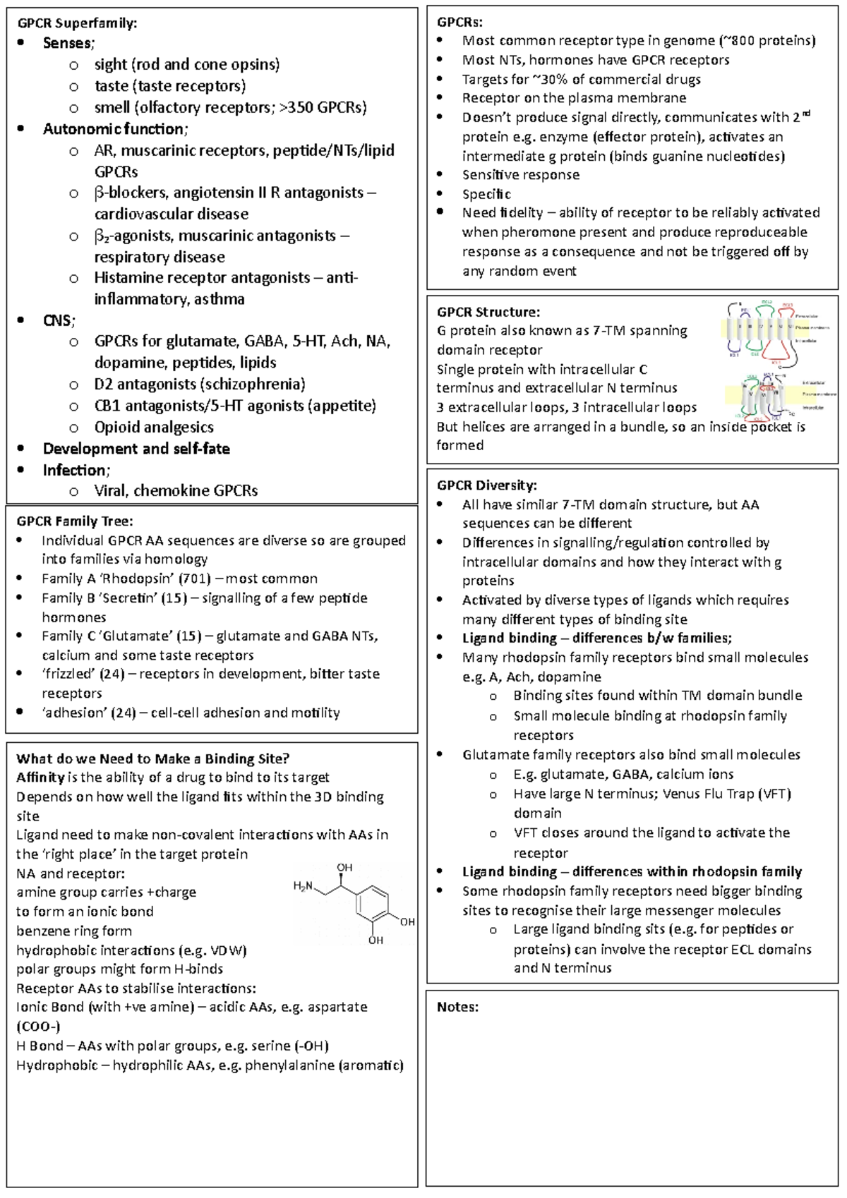 GPCR 1 - GPCR 1 - GPCR Structure: G protein also known as 7-TM spanning domain receptor Single ...