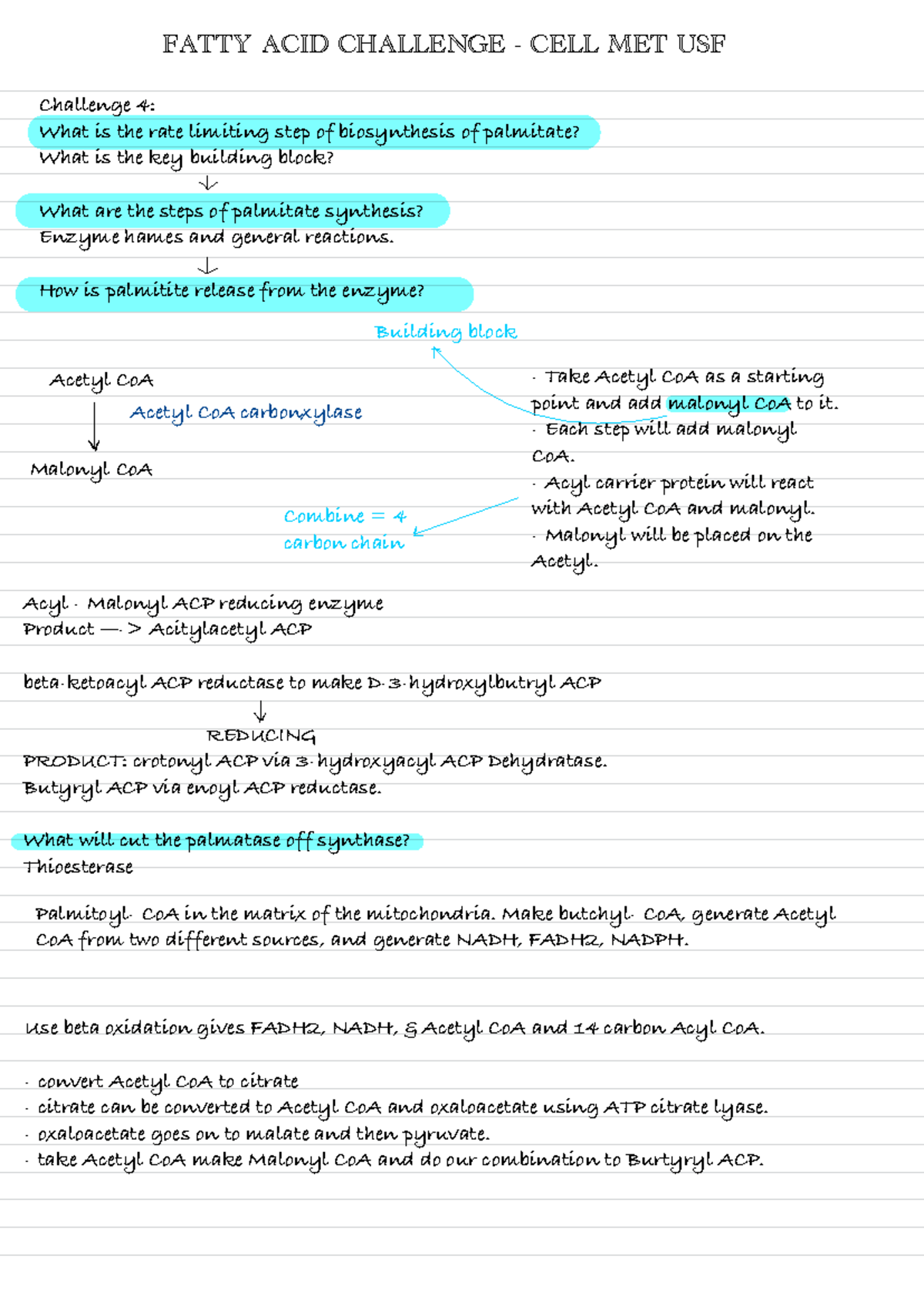 FATTY ACID NOTES - FATTY ACID CHALLENGE - CELL MET USF Challenge 4 ...