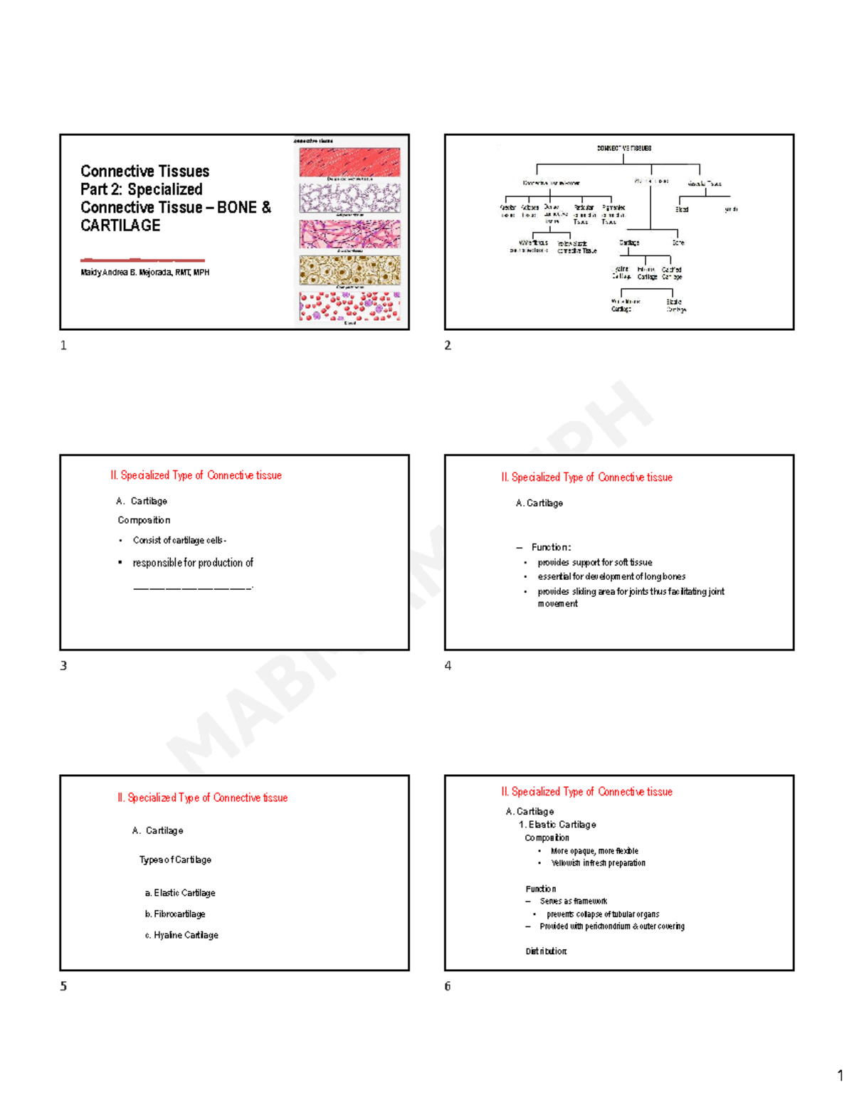 Connective Tissue PART 2 Handouts - Connective Tissues Part 2 ...