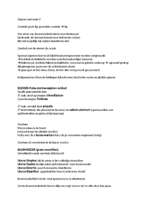 Anatomie Station heup - SIAS SIPS Crista Iliaca Ala ossis ilii Os ...
