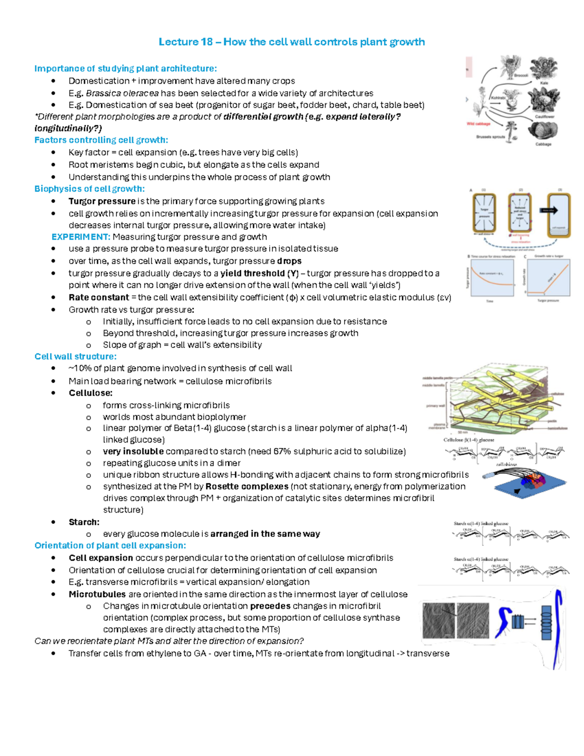 Lecture 18, 19, 20, 21, 22 - Lecture 18 – How the cell wall controls plant growth Importance of ...
