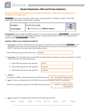 Copy of Absent - Studying Hominids Part 1 (Gizmos) - Student ...